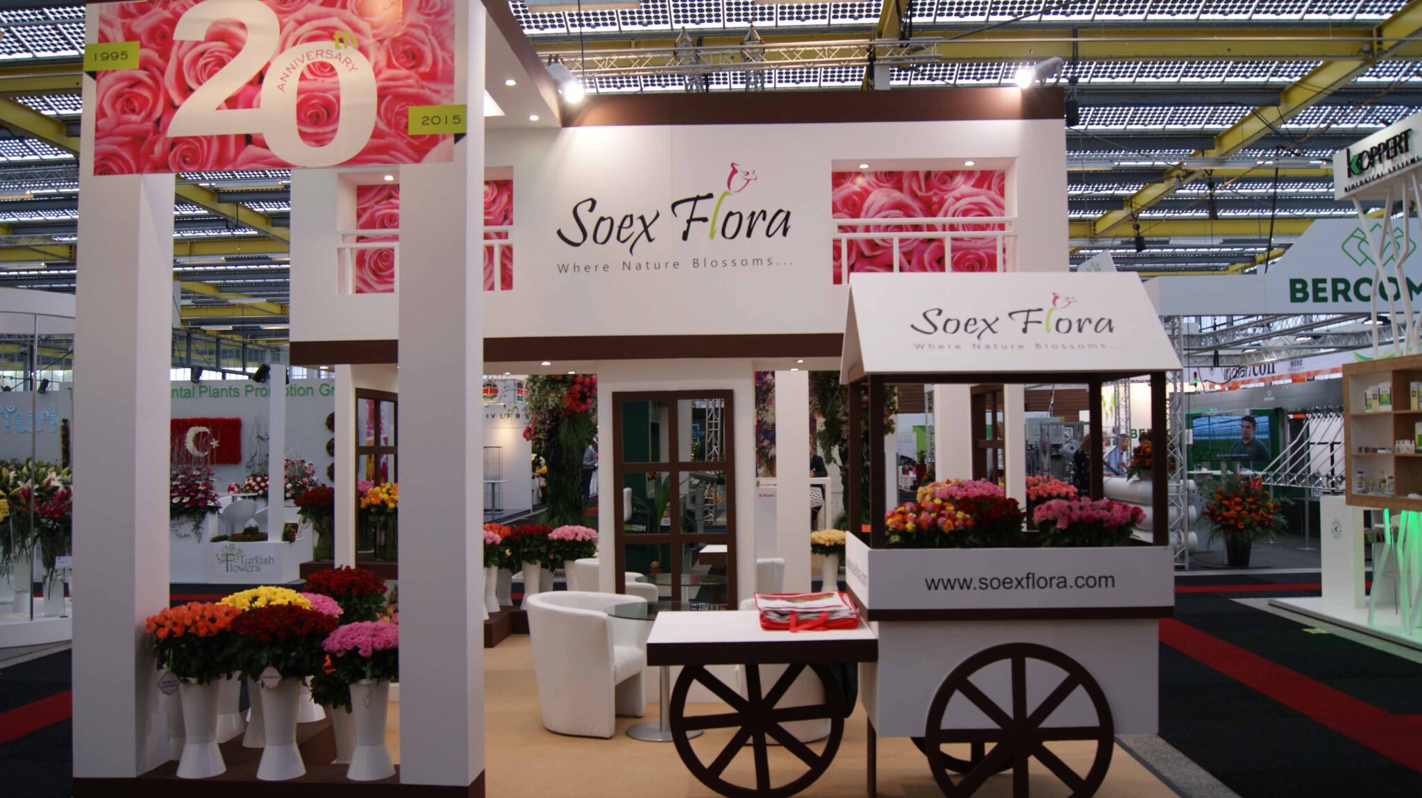 Our Latest News | Soex Flora